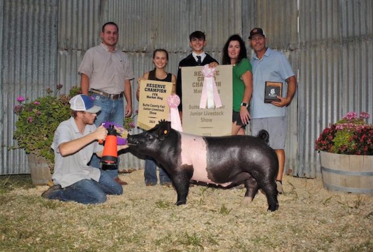 2023 Champions - Ottenwalter Showpigs